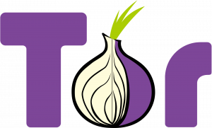 Tor-logo-2011-flat.svg_ - Jesús Amieiro